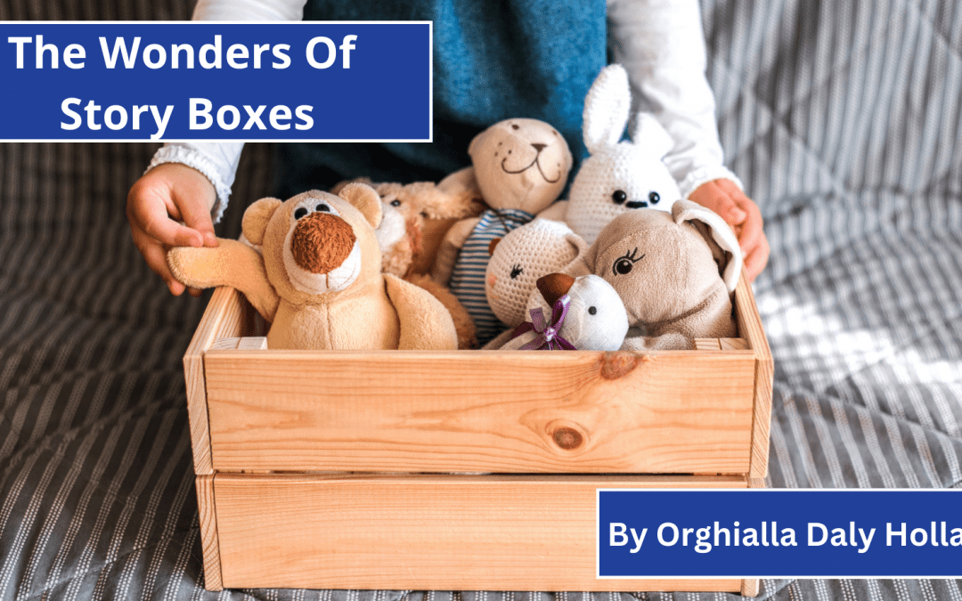 Leadership for Inclusion, LINC Programme